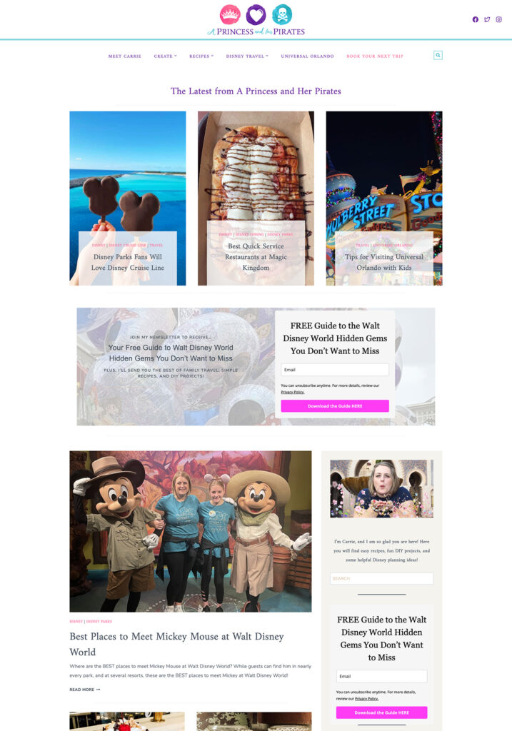 Affordable & Customizable Feminine WordPress Themes - Restored 316