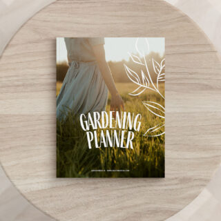 Affordable & Customizable Feminine WordPress Themes - Restored 316